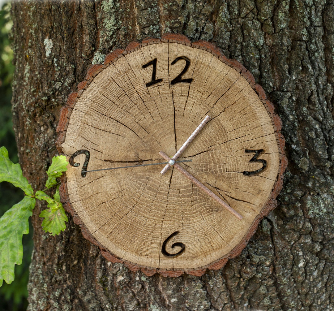 Oak Tree of Strength Power and Longevity Clock Wall From a Slice of Oak ...