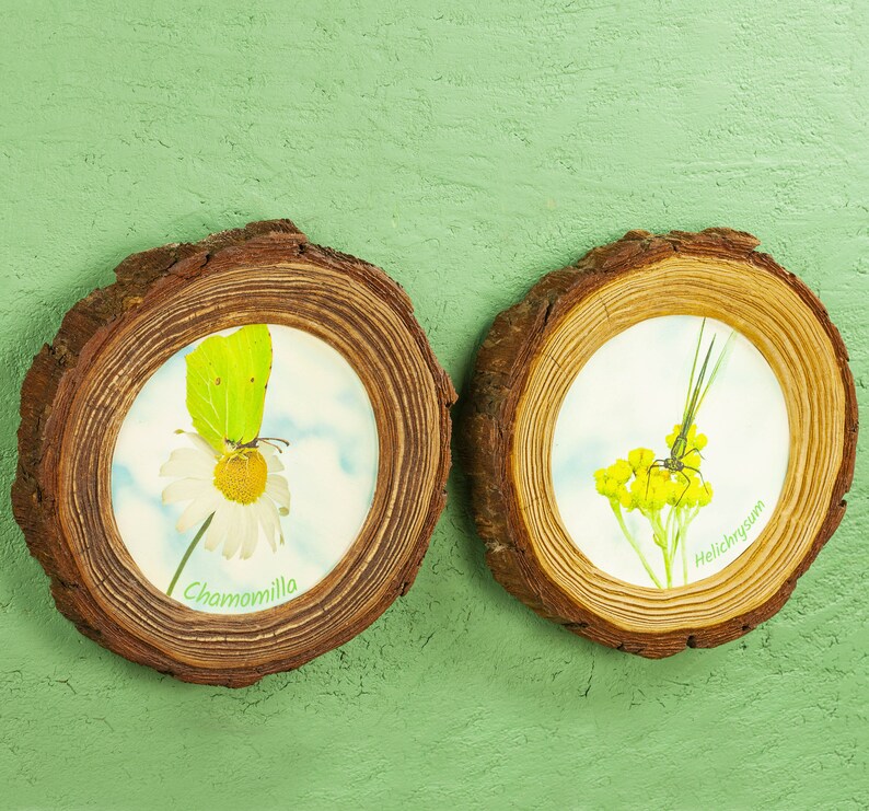 Spruce Wood Log Cross-section Photo Frame , Picture Frames, Magic Frame ...