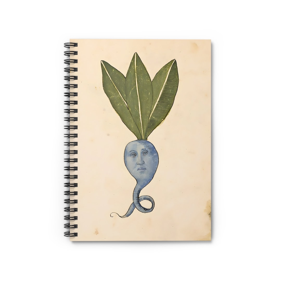 Vintage blue Turnip Ruled Line Spiral Notebook 15th Century Original ...