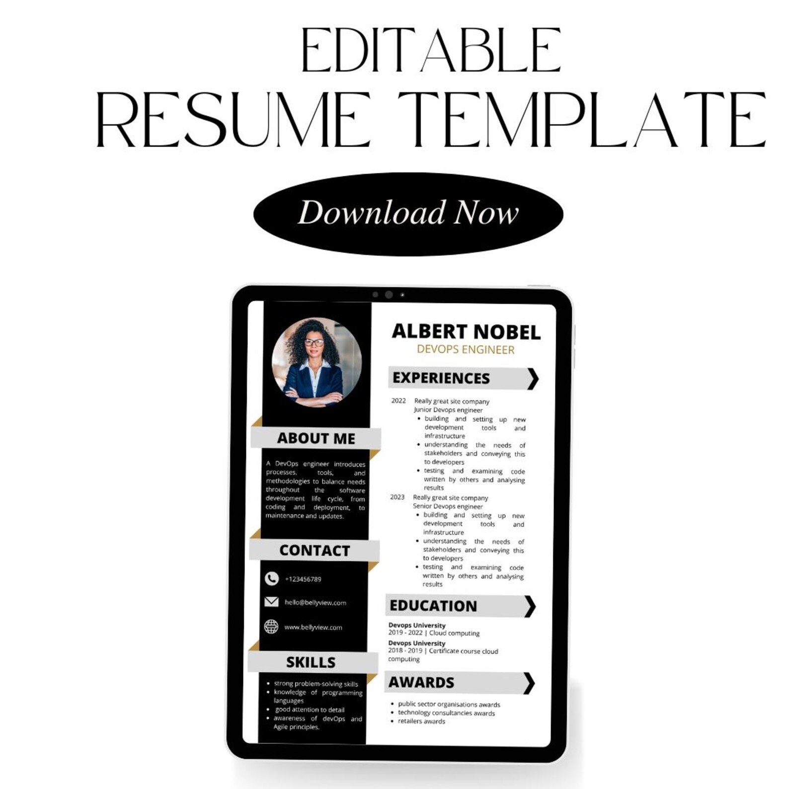 Editable Resume, Professional Resume Template, Minimalist Resume ...