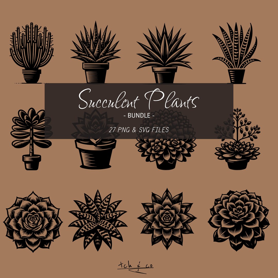 Succulent SVG Bundle Cricut Clipart for Shirts & Printables Floral ...