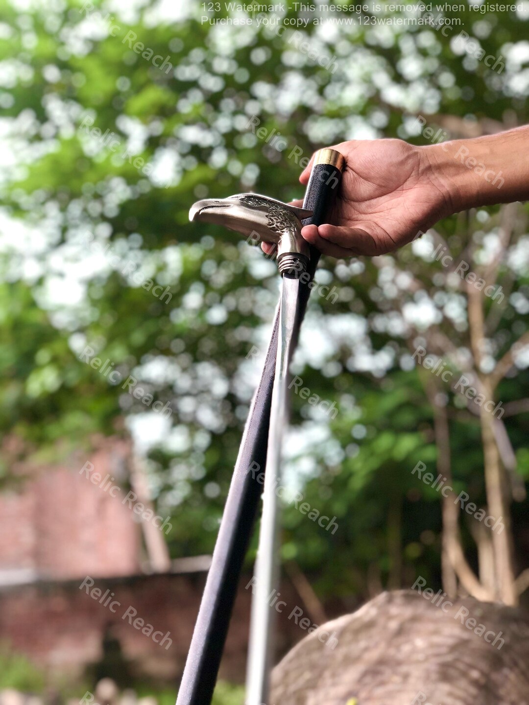 Eagle Cane Walking Stick Silver Gryphon Brass Handle Elegant Gift Groom ...