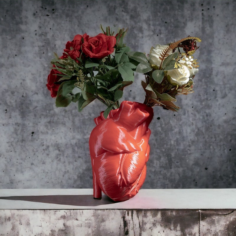 Anatomical Heart Vase - Etsy