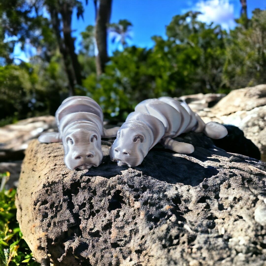 Manatee Articulated Figure | 3D Printed Sea Creature Decor for Nature ...