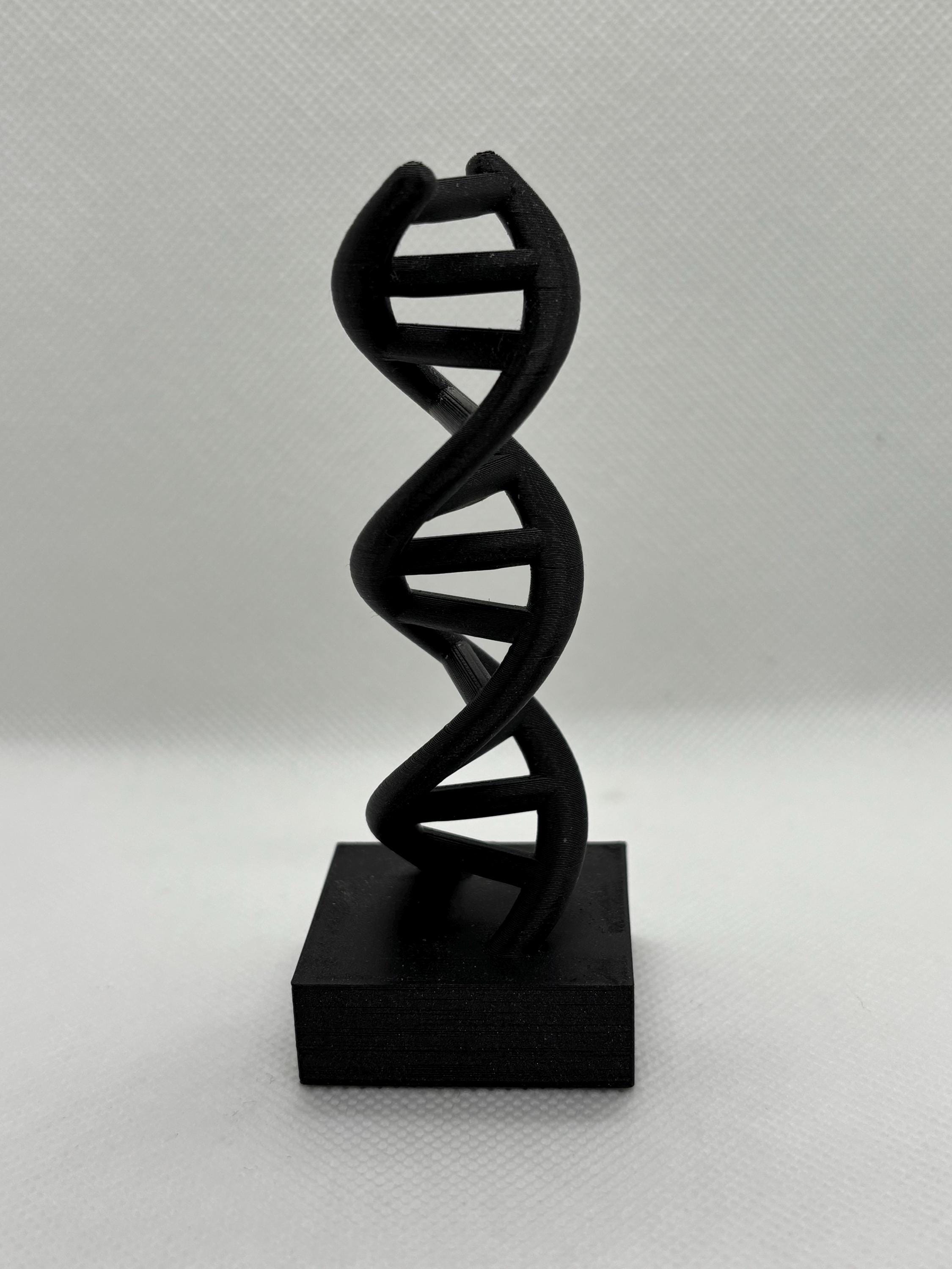 3D Printed DNA Model (DNA Helix, DNA Decor, Teacher Gift, Kids Gift ...