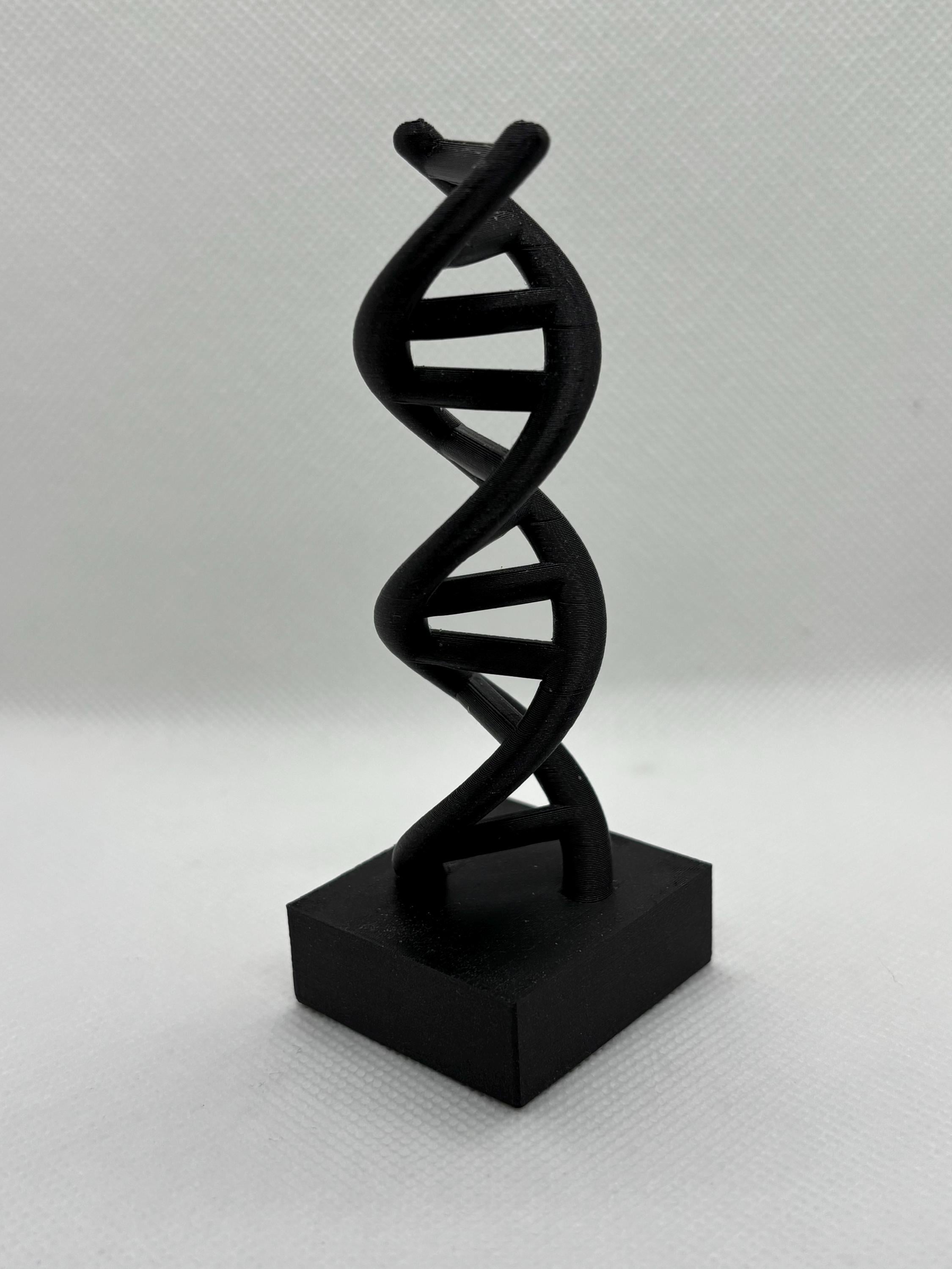 3D Printed DNA Model (DNA Helix, DNA Decor, Teacher Gift, Kids Gift ...