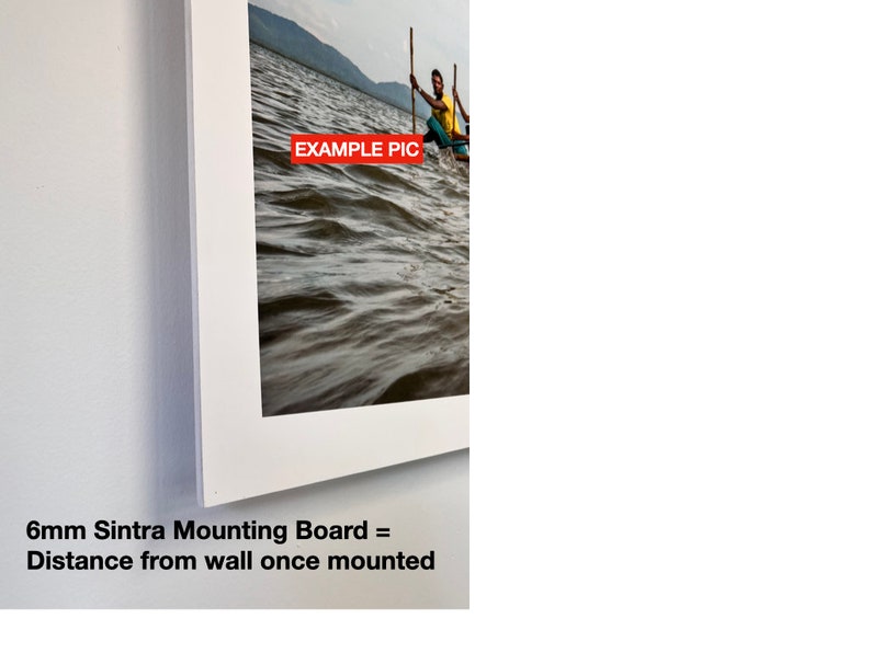 African Nguni Cow - African Animal Wall Art. Safari Lodge Decor. Hand ...