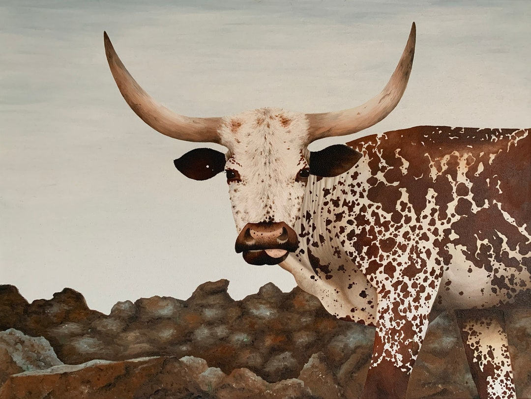 African Nguni Cow Painting. Hand Painted Oil on Canvas. Original ...