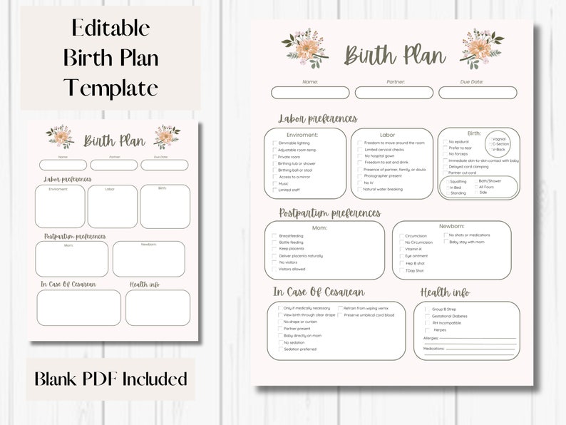 Editable Birth Plan Template | Printable Birthing Plan | Labor and Delivery Preferences Template ...
