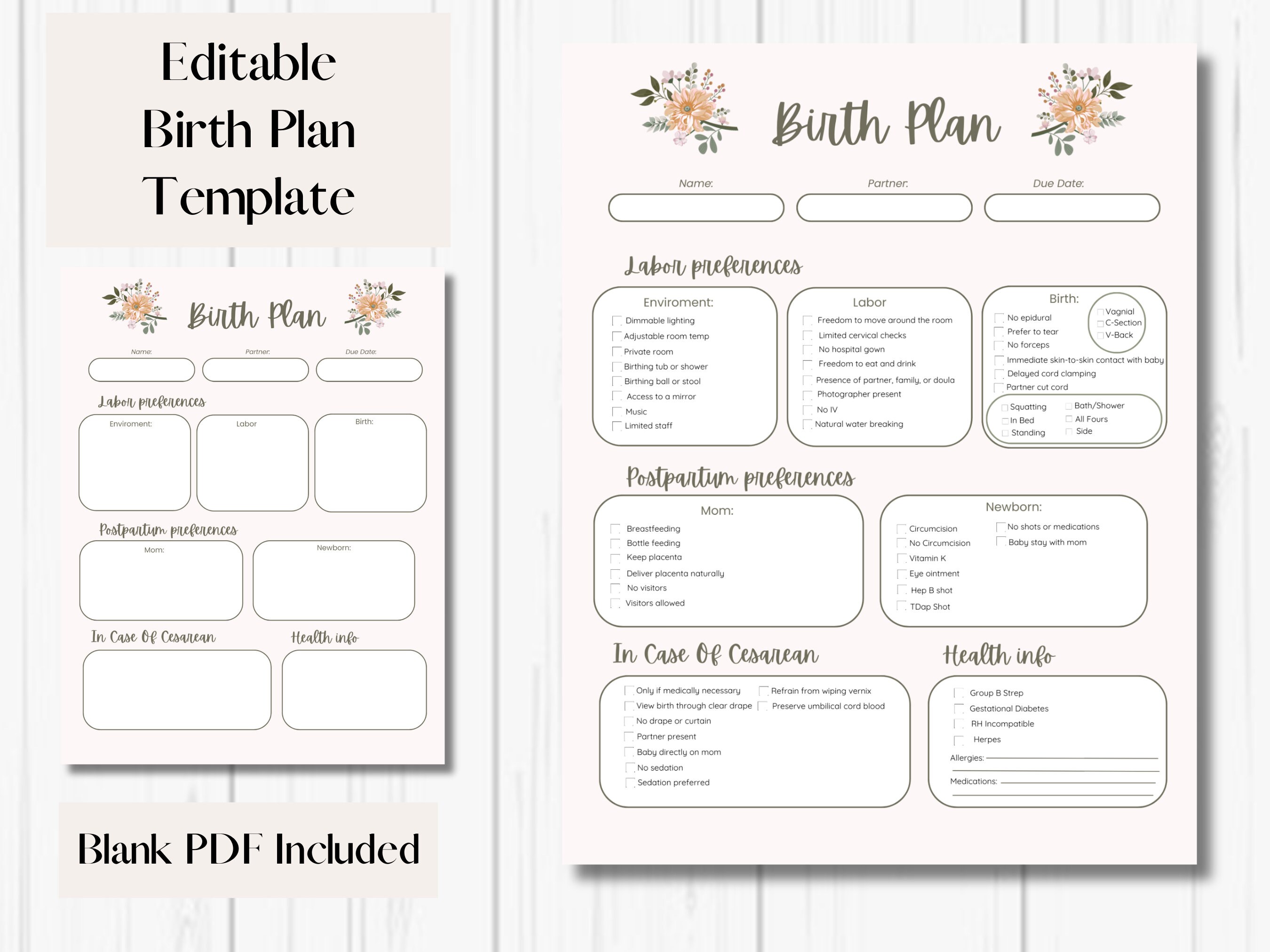 Editable Birth Plan Template | Printable Birthing Plan | Labor and ...