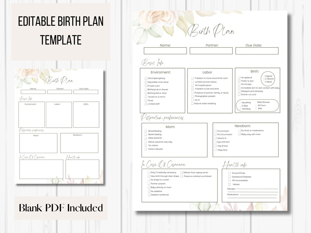 Editable Birth Plan Template | Printable Birth Plan | Labor and ...