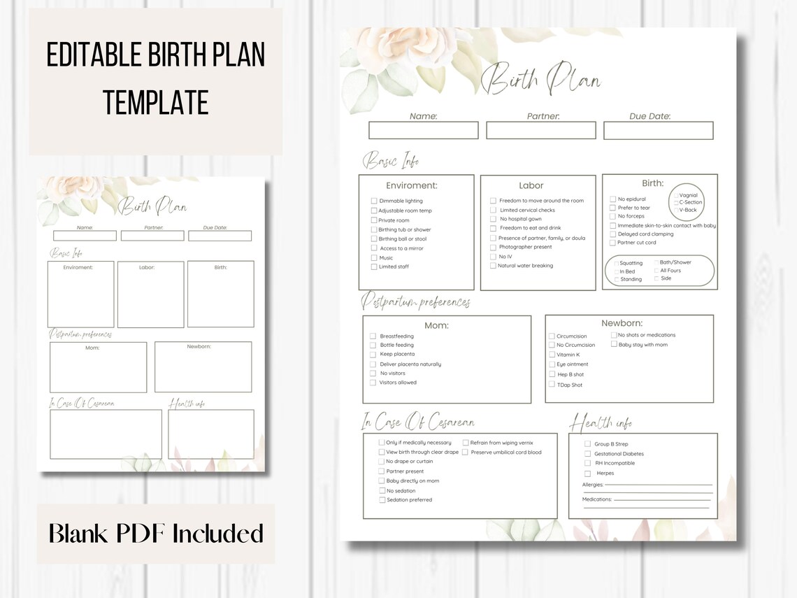 Editable Birth Plan Template | Printable Birth Plan | Labor and ...