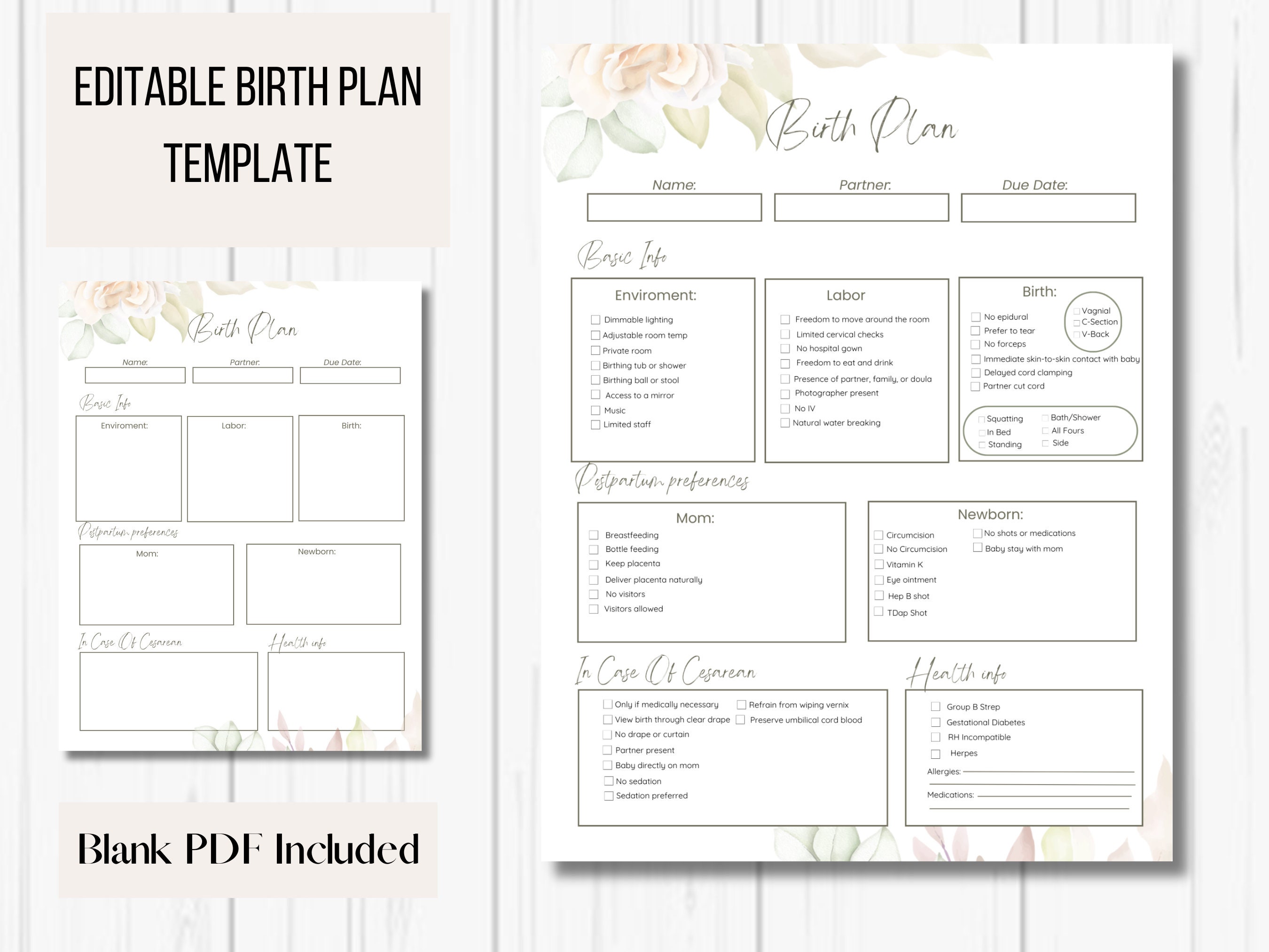 Editable Birth Plan Template | Printable Birth Plan | Labor and ...