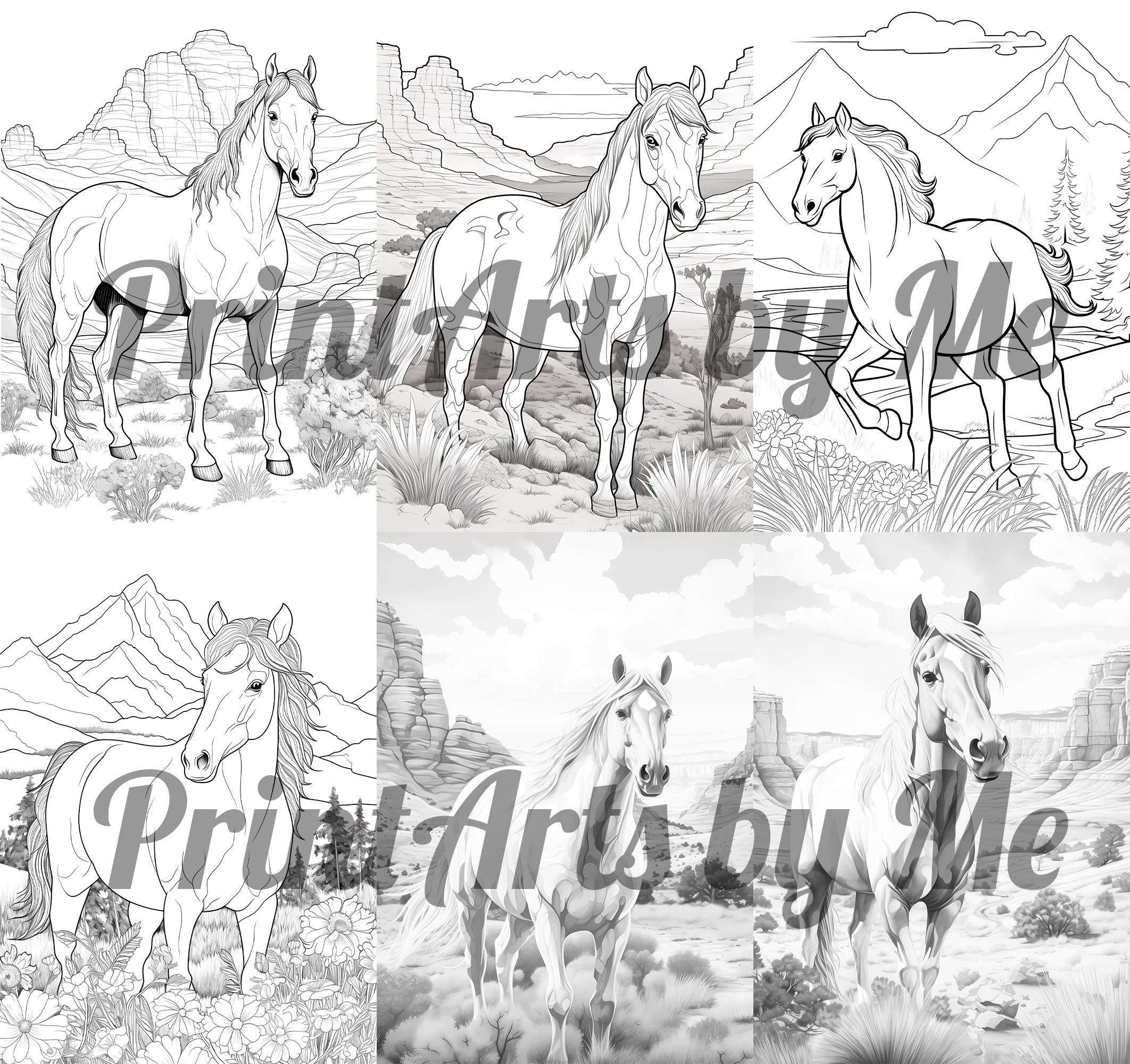 Wild Horses Coloring Book, 12 Premium Wild Horses Cute Themed Pages, A4 ...
