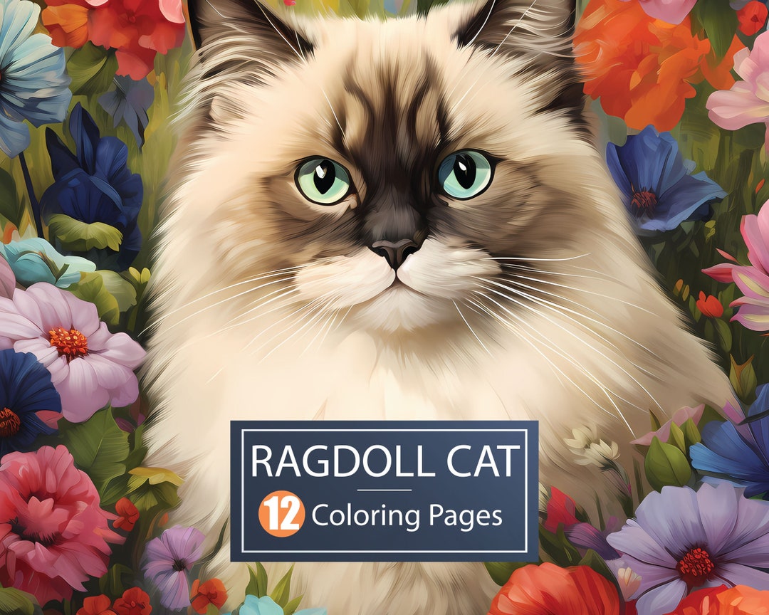 Ragdoll Cat Coloring Book, 12 Premium Ragdoll Cat Cute Themed Pages, A4 Size Sheets Instant PDF ...