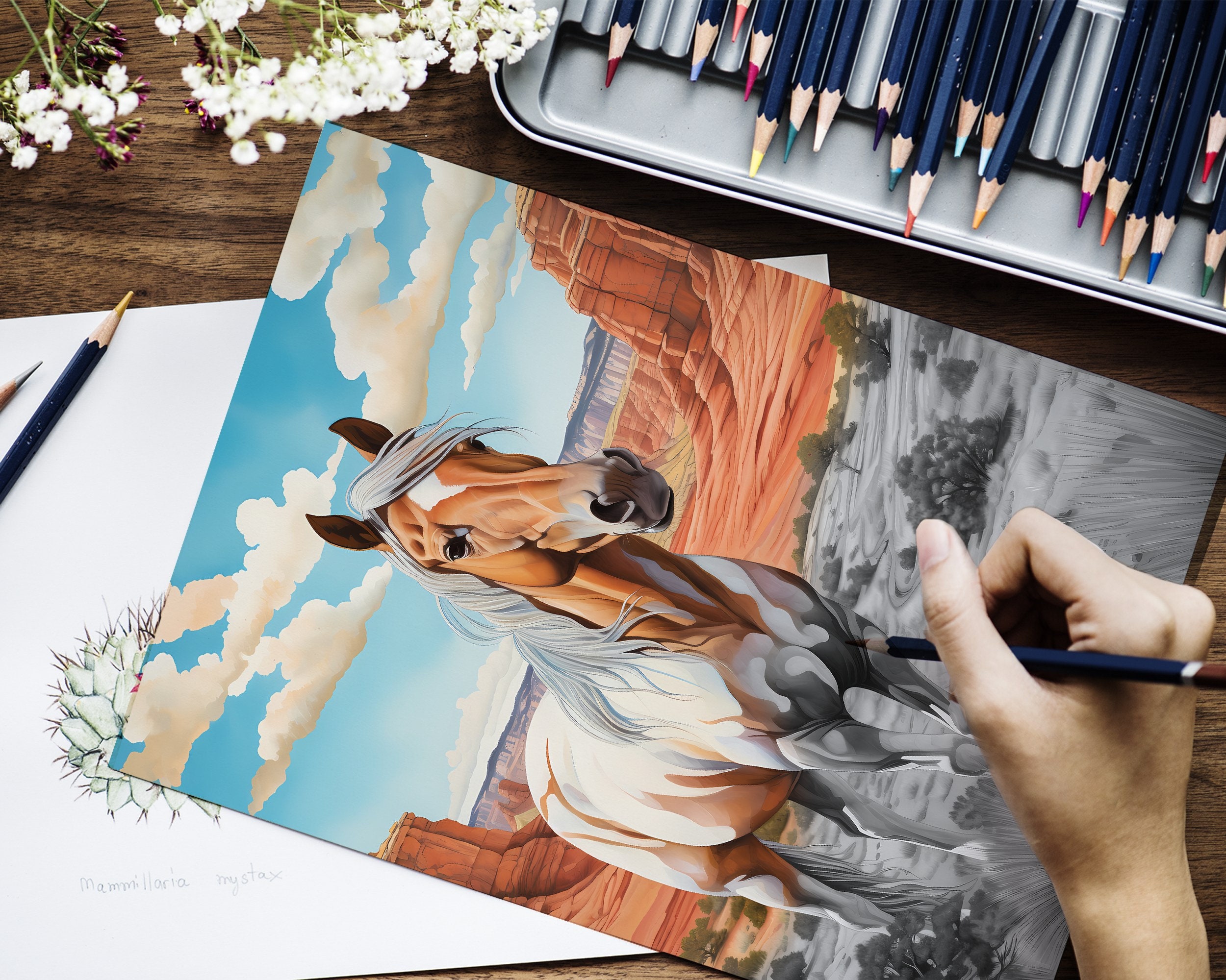 Wild Horses Coloring Book, 12 Premium Wild Horses Cute Themed Pages, A4 ...