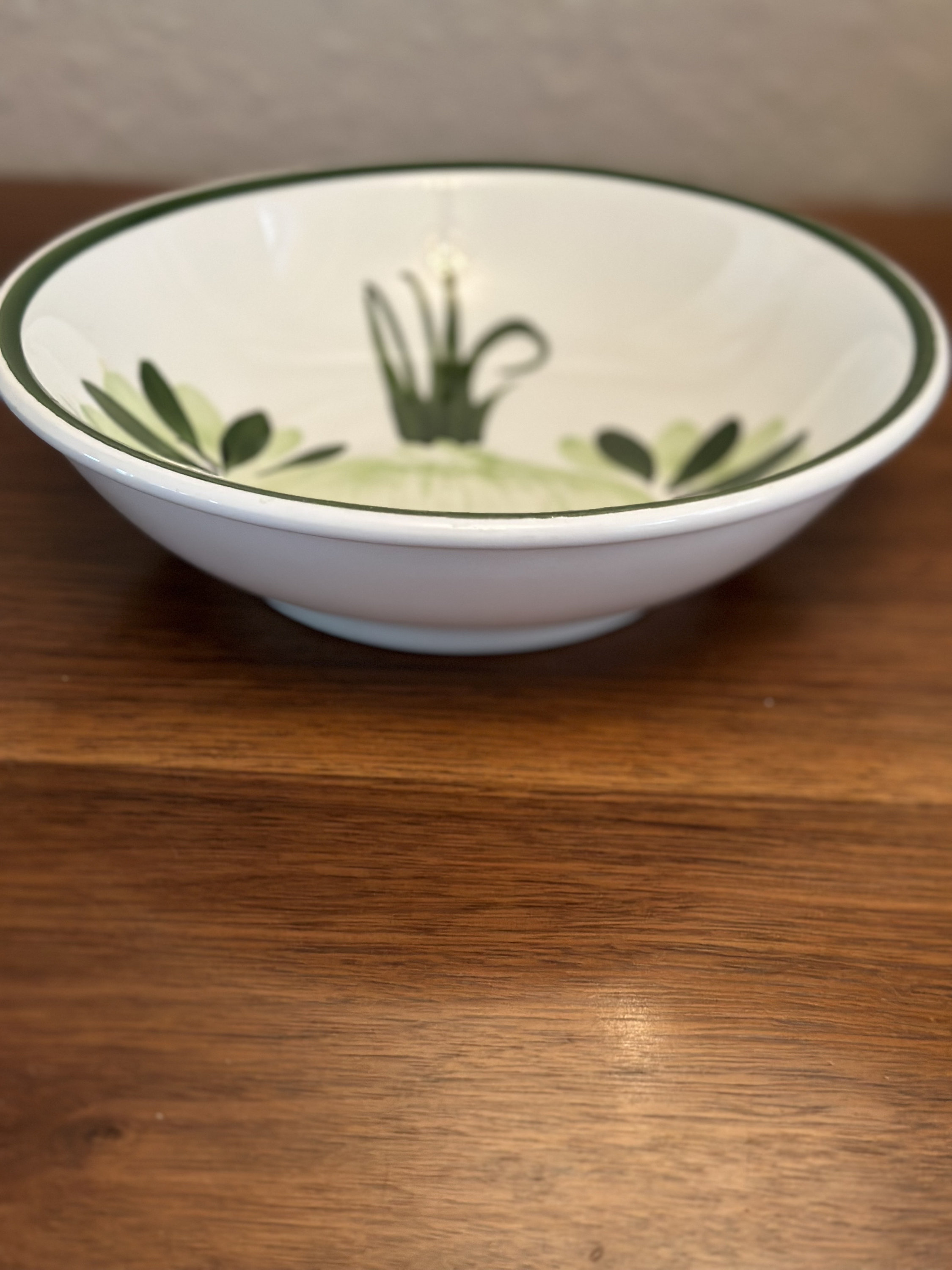 Zrike of Italy Hand Painted Bowl 8 Onion - Etsy
