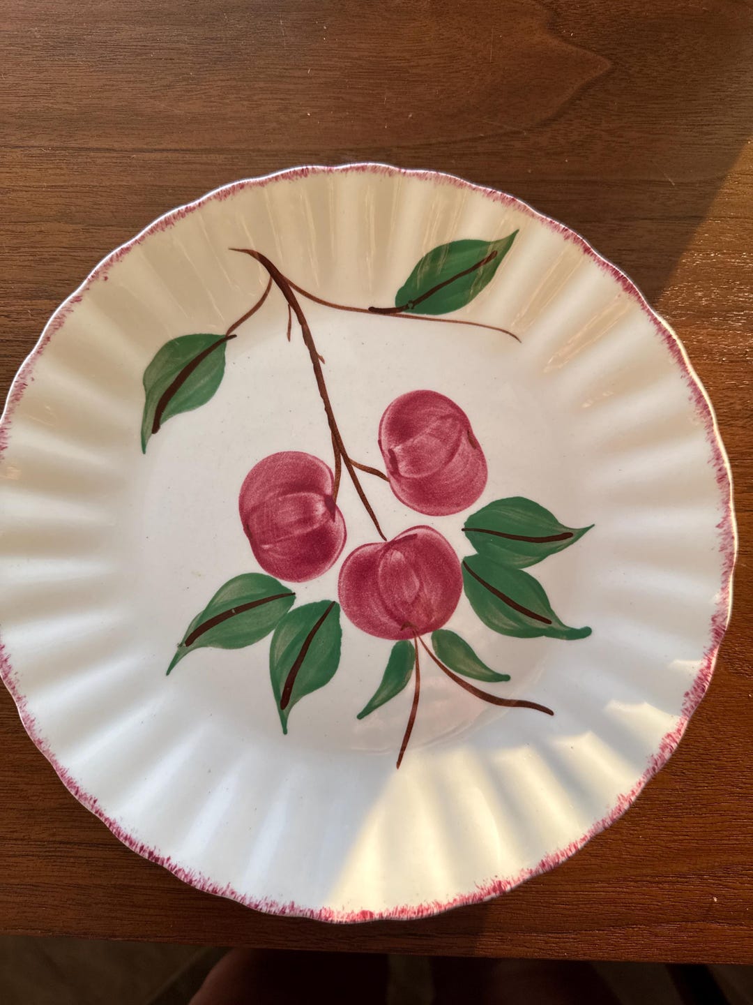 Blue Ridge Hand Painted Underglaze Crab Apples Dinner Plate 9.25 - Etsy