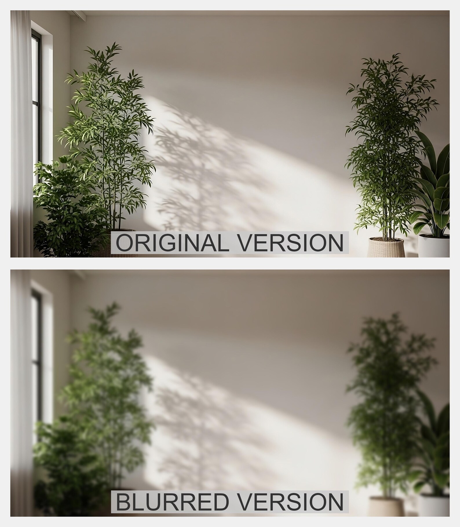 Minimalist Plant Zoom Background: Boho Home Office Backdrop (digital ...