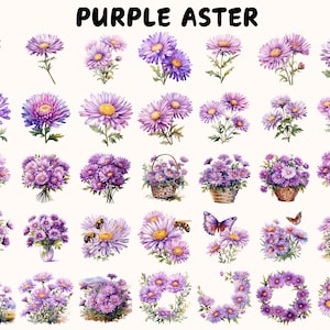 Aster Clipart, Cute Wedding Spring Daisy Flower Watercolor Clip Art ...