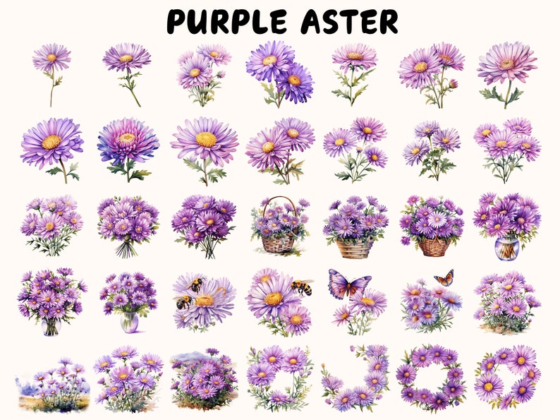 Aster Clipart, Cute Wedding Spring Daisy Flower Watercolor Clip Art ...