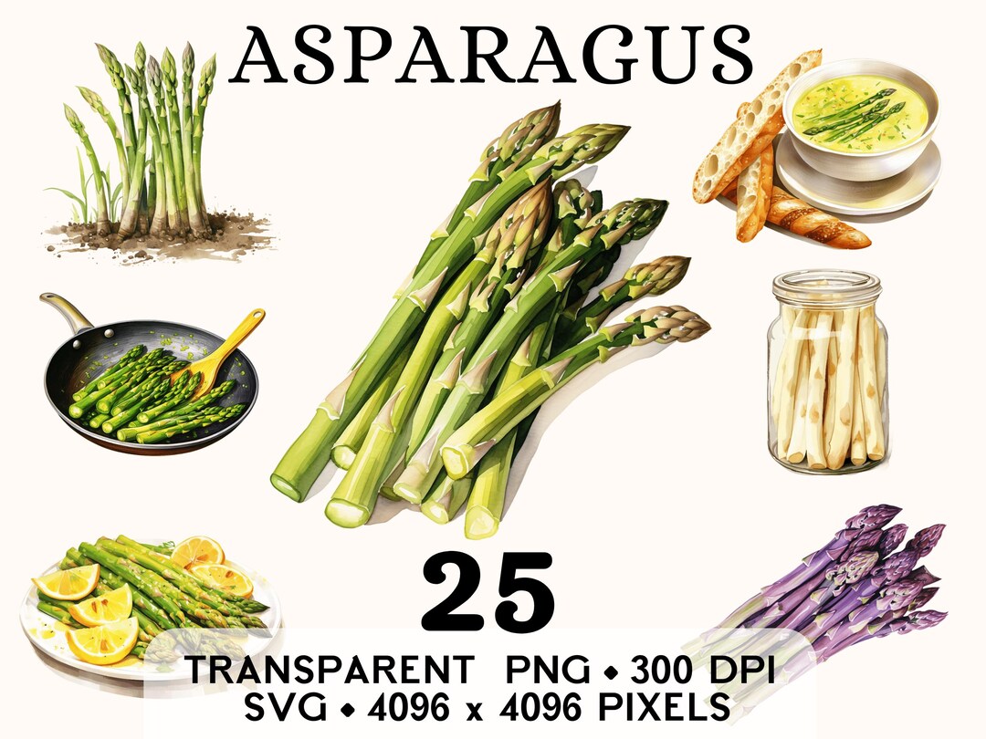 Asparagus Clipart, Sparrow Grass Green Vegetable Watercolor Clip Art ...