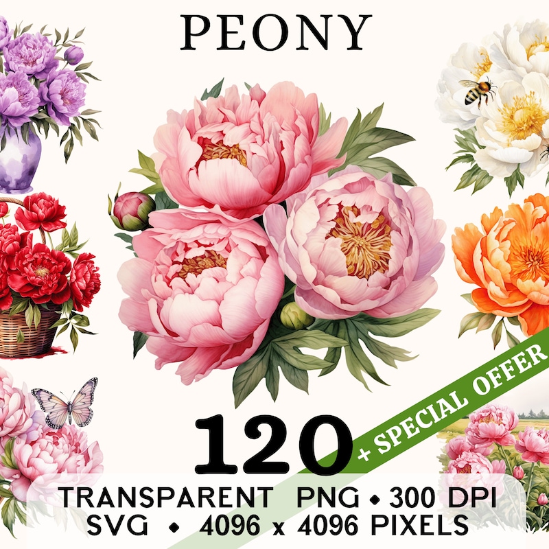 Red Peony Flower Wall Art - Etsy