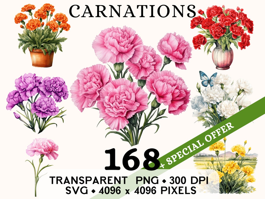 Carnation Clipart, Cute Wedding Spring Flower Watercolor Clip Art ...