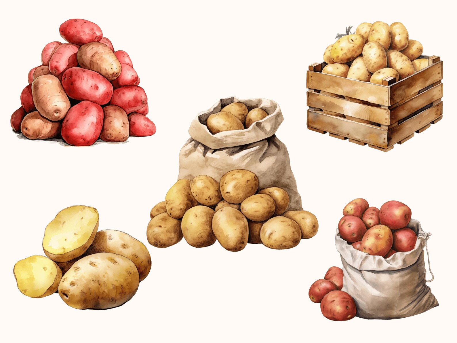 Potato Clipart, Farm Vegetable Watercolor French Fries Clip Art, Food ...