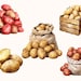 Potato Clipart, Farm Vegetable Watercolor French Fries Clip Art, Food ...