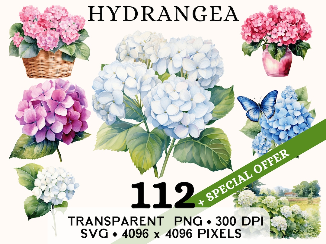 Hydrangea Wreath Clipart, Cute Wedding Flower Watercolor Clip Art ...