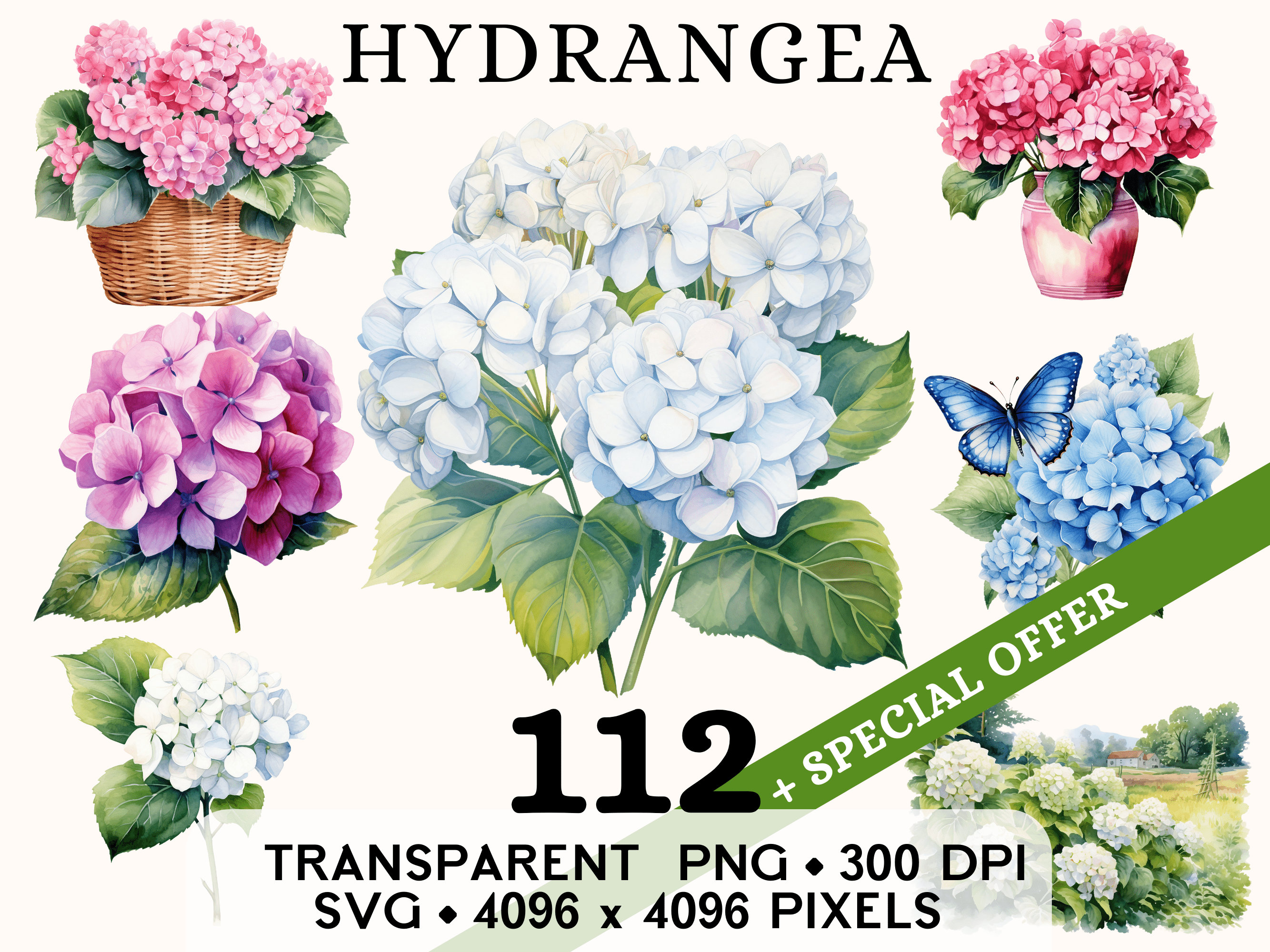 Hydrangea Wreath Clipart, Cute Wedding Flower Watercolor Clip Art ...