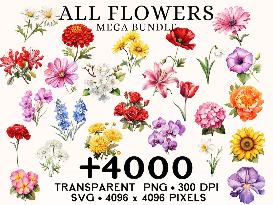 Flower Clipart Bundle, Cute Spring Flower Watercolor Clip Art, Floral ...