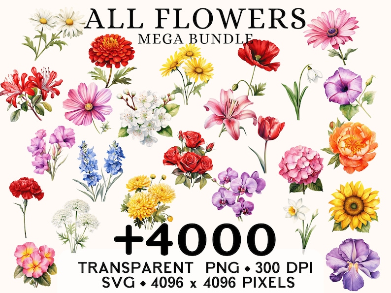 Flower Clipart Bundle, Cute Spring Flower Watercolor Clip Art, Floral ...