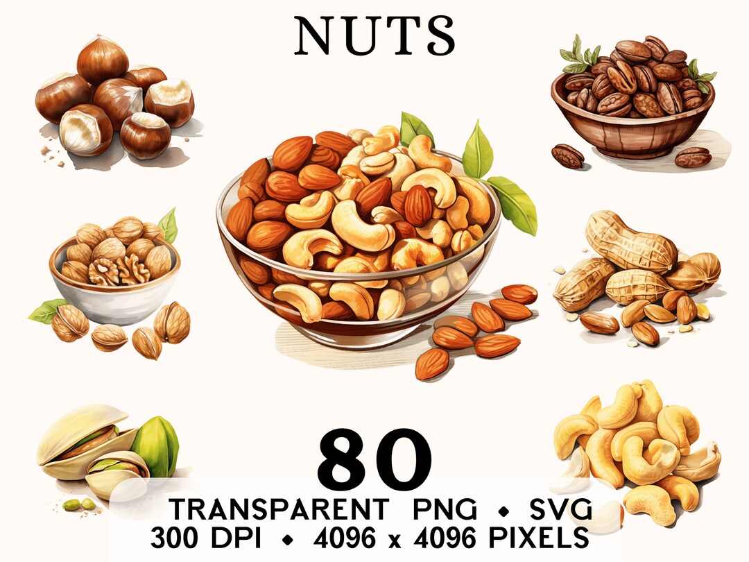 Nut Clipart, Fruit Watercolor Peanut, Walnut, Almond Clip Art, Seed ...