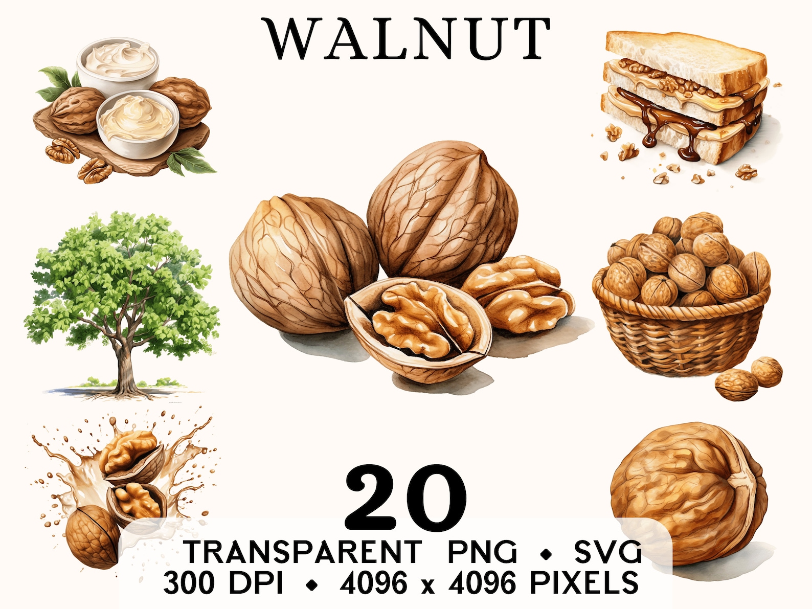 Walnut Clipart, Fruit Watercolor Nut Clip Art, Seed Food Sticker Mug ...