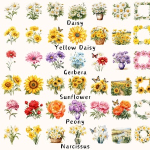Flower Clipart Bundle, Cute Spring Flower Watercolor Clip Art, Floral ...