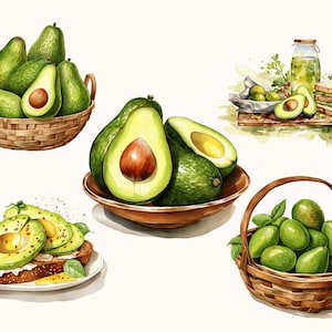 Avocado Clipart, Fruit Watercolor Avocado Basket Clip Art, Exotic Food ...