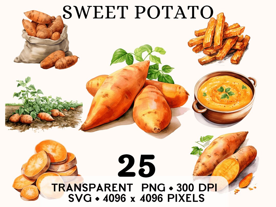 Sweet Potato Clipart, Farm Vegetable Watercolor Fries & Soup Clip Art ...