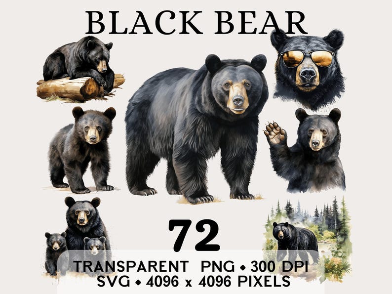 Black Bear Clipart Forest, Bear Wild Woodland Watercolor Clip Art ...