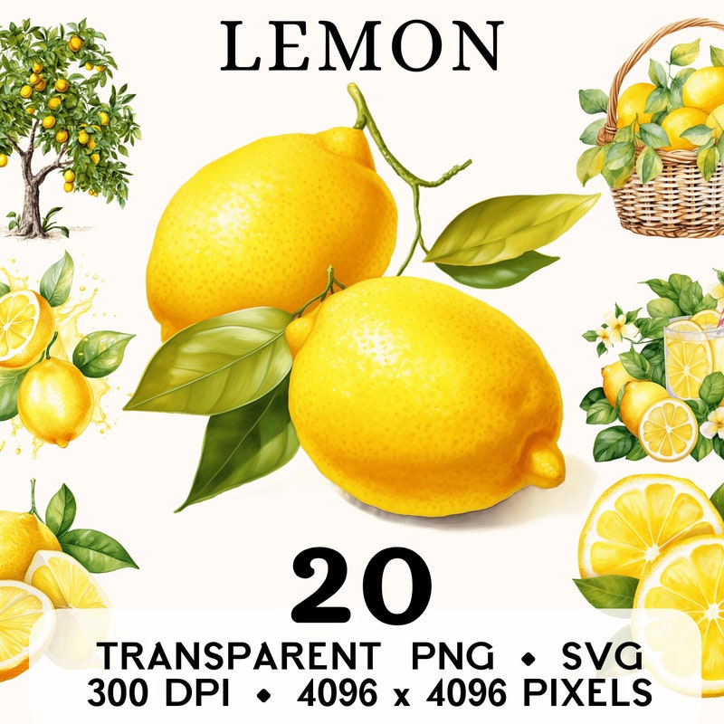 Lemon Svg - Etsy