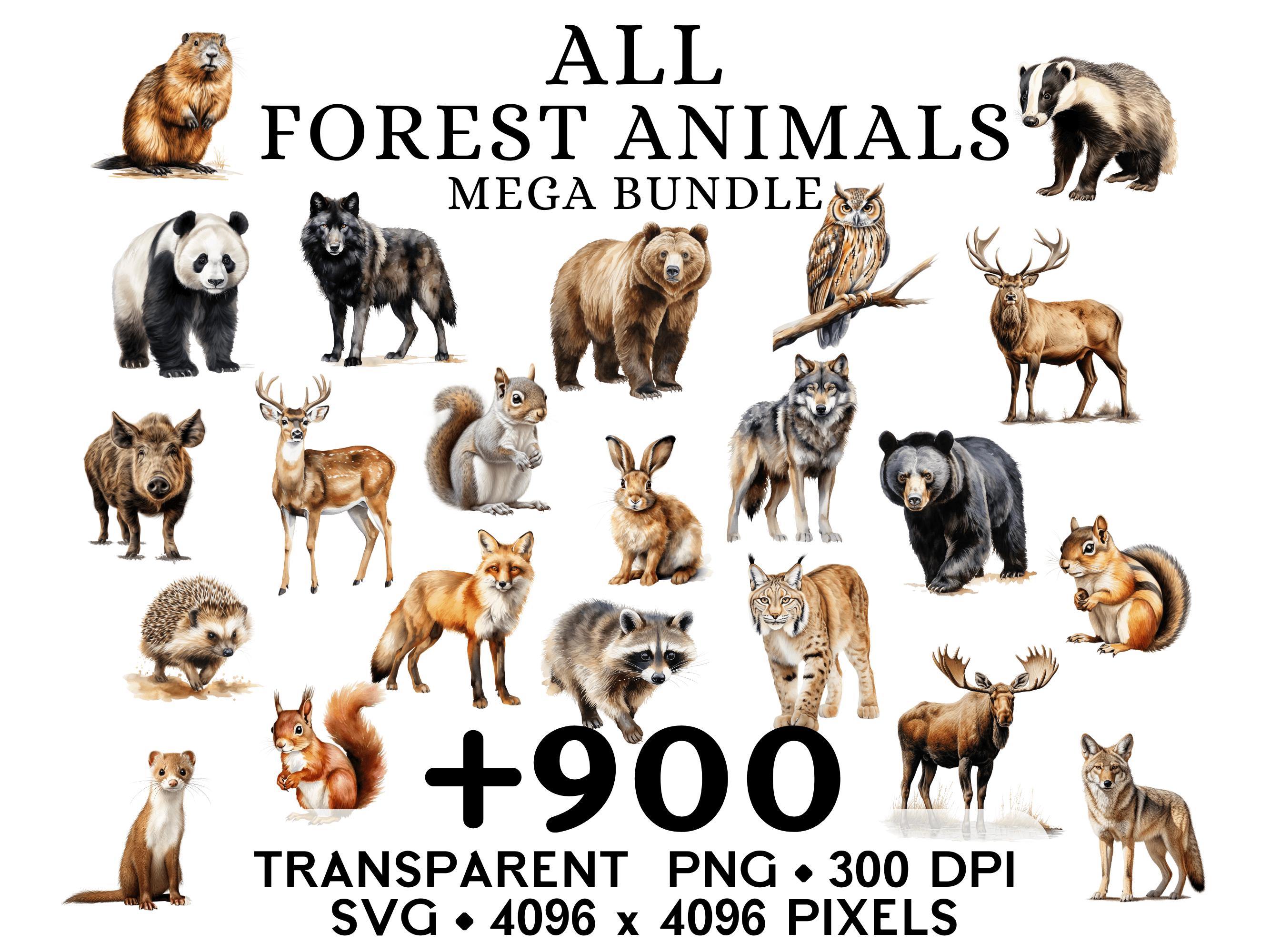 Forest Animals Clipart, Wild Woodland Watercolor Clip Art, Animal ...