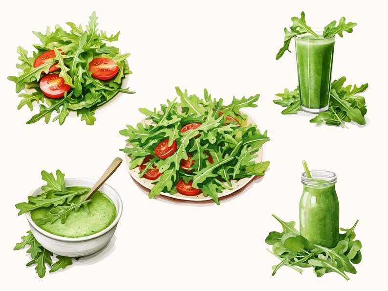 Arugula Clipart, Farm Eruca Vegetable Watercolor Rucola Leaf Art, Food ...