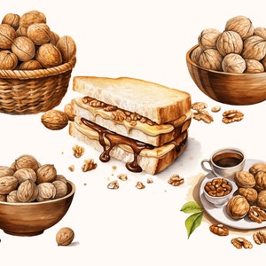 Walnut Clipart, Fruit Watercolor Nut Clip Art, Seed Food Sticker Mug ...