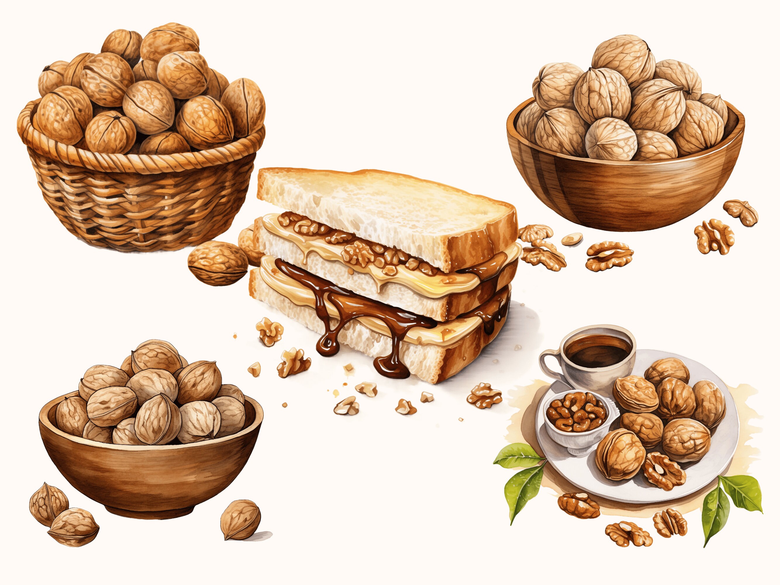 Walnut Clipart, Fruit Watercolor Nut Clip Art, Seed Food Sticker Mug ...