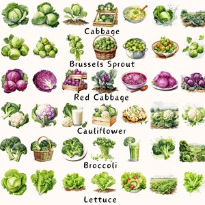 Bundle Vegetables Clipart, Vegetable Watercolor Veggie & Fruit, Farm ...