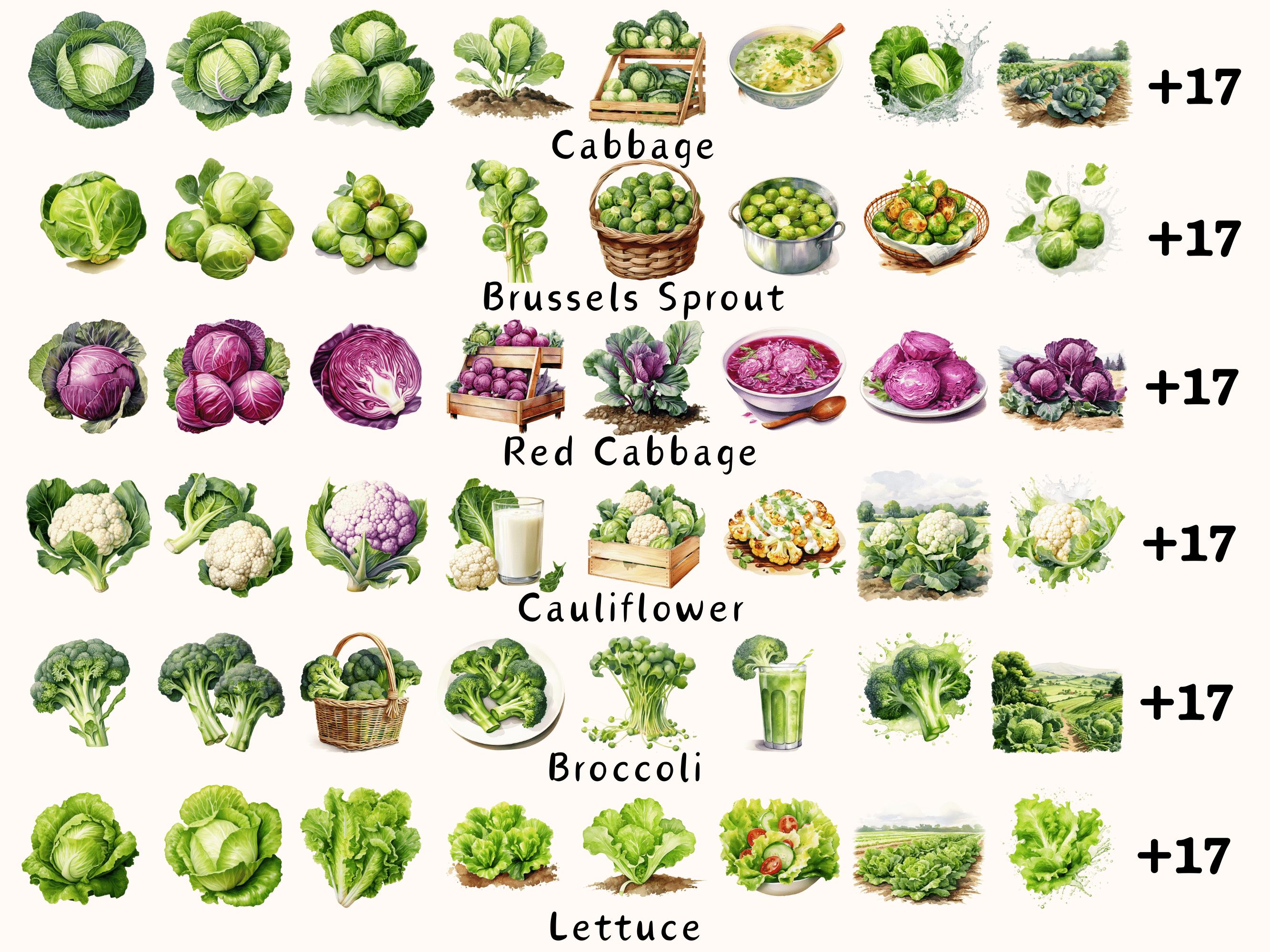 Bundle Vegetables Clipart, Vegetable Watercolor Veggie & Fruit, Farm ...