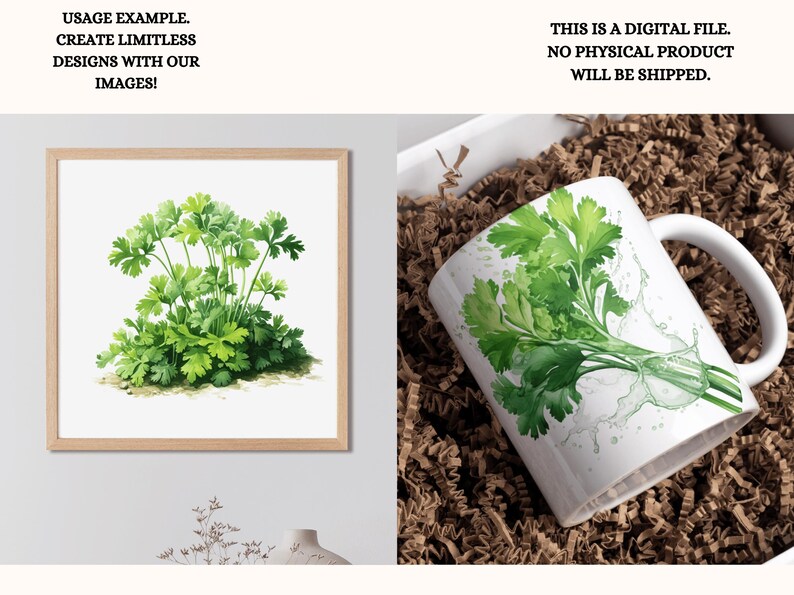 Parsley Clipart, Medicinal Spice Vegetable Watercolor Herb Clip Art ...