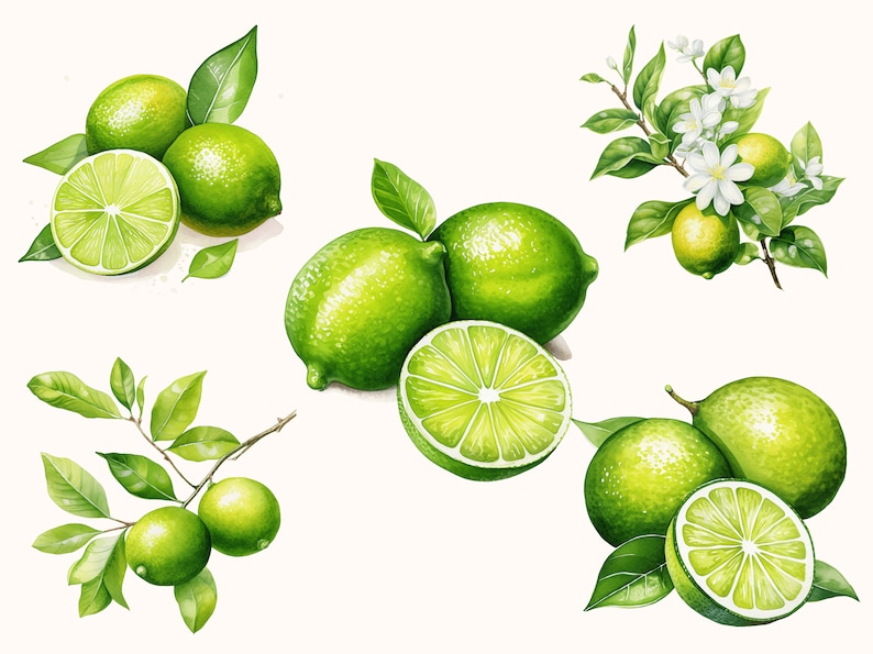 Lime Clipart, Fruit Watercolor Lemon Drink Clip Art, Basket Food ...