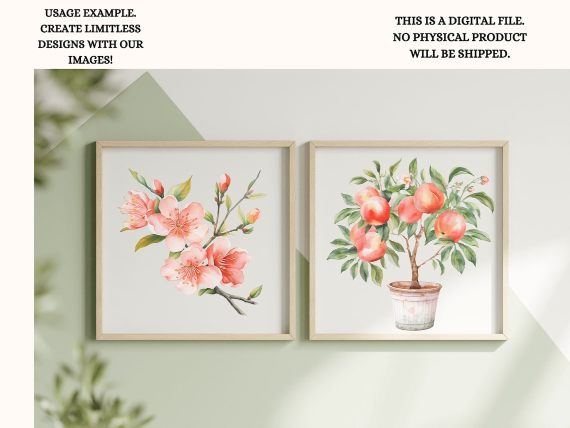 Peach Clipart, Fruit Watercolor Peach Flower and Tree Clip Art, Food ...